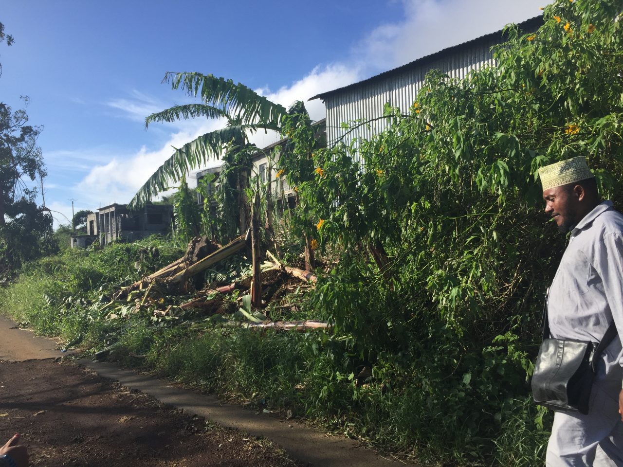 How can Comoros can achieve sustainable development ? - ERA ENVIRONNEMENT